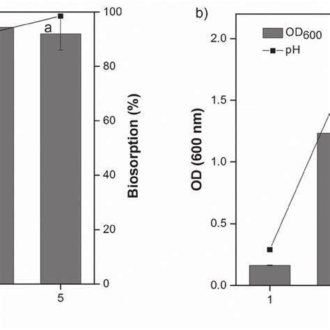 Survival And Biosorption Characteristics Of Bacillus Cereus Strain Hm 5