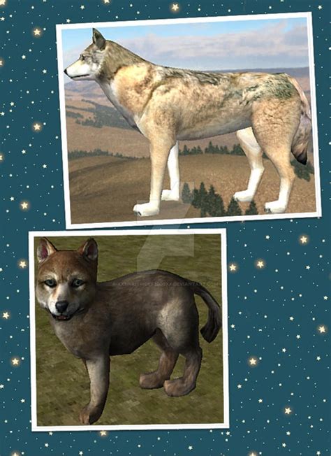 Wolfquest Wolf N Pup Image 1 By Xxspiritwolf2000xx On Deviantart