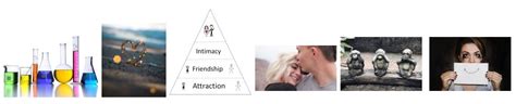 The Science Of Sex Pure In Heart