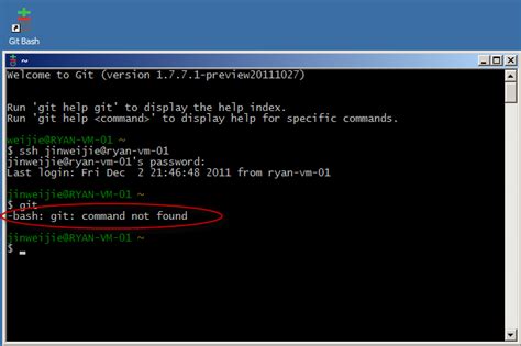 step by step setup git server on windows with copssh msysgit and
