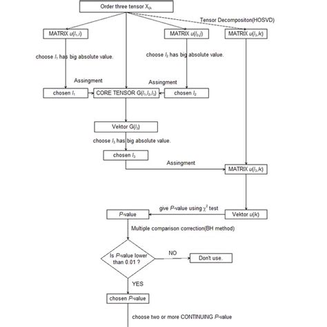 Flow Chart About Analysis Download Scientific Diagram