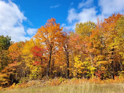 Simple Linear Models For Image Deblurring By Xinyu Chen 陈新宇 Medium