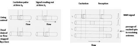 NMR Based Flow Measurement Download Scientific Diagram