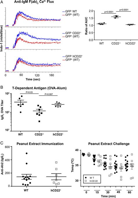 Regulation Of Bcr Signaling And Td Ab Responses By Hcd22 A