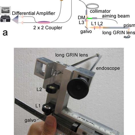 A Schematic Diagram Of A Grin Lens Rodbased Dynamic Focusing