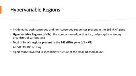 16 S Rrna Gene Sequencing For Bacterial Identification Pptx