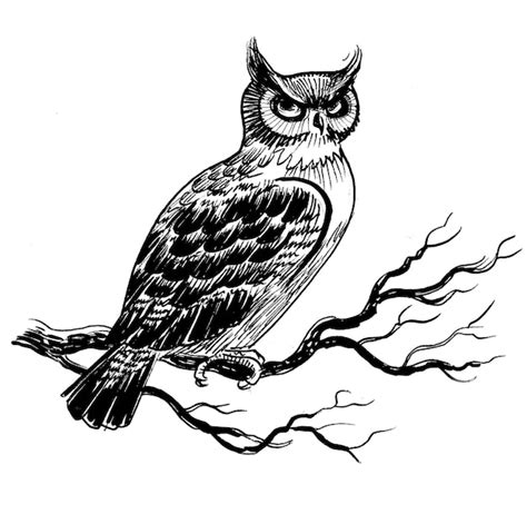 Premium Photo A Black And White Drawing Of An Owl With The Word Owl