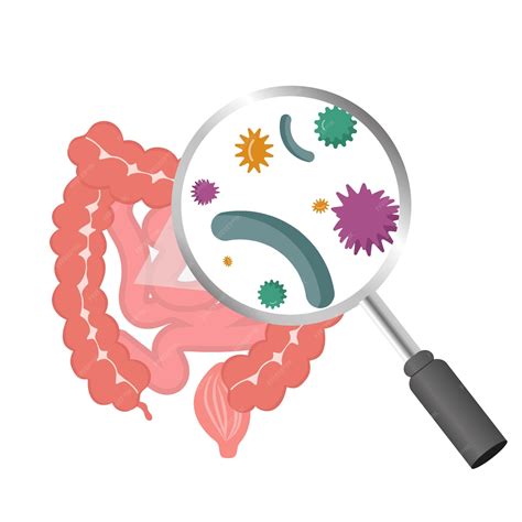 Premium Vector Gutbrain Axis Connection Braingut Bacteria