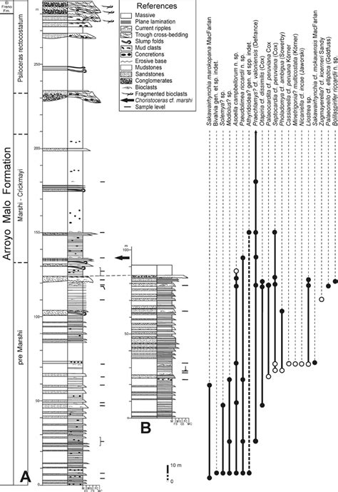Stratigraphic Sections With Location Of Bivalve And Brachiopod Faunas Download Scientific