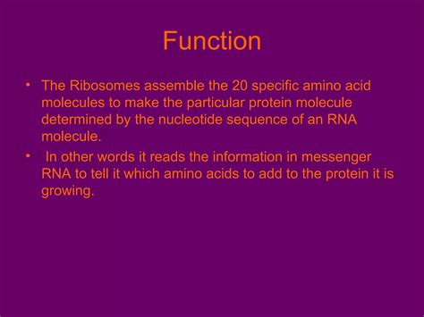 Ribosomes Ppt