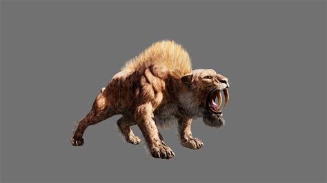 Saber Tooth Tiger Wallpapers Top Free Saber Tooth Tiger Backgrounds