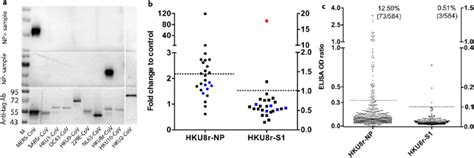 Presence Of Hku8r Cov Antibodies In Mers Cov Rbd Positive Camel Sera Download Scientific