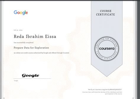 Google Data Analytics Professional Certificate Portfolio De Reda Ibrahim