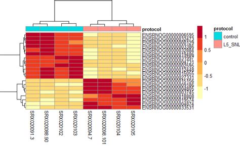 Rna Seq Data Analysis In R Investigate Differentially Expressed Genes In Your Data