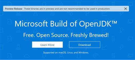 Microsoft Build Of Openjdk Java Secondo Redmond Htmlit