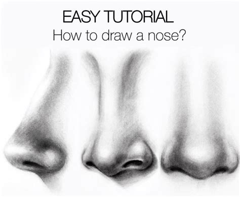 How To Draw A Nose For Beginners With These Tutorials That Will Help You