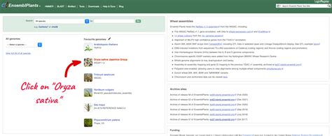 Finding Comparative Genomics Data For Cultivars In Ensembl Plants Demo