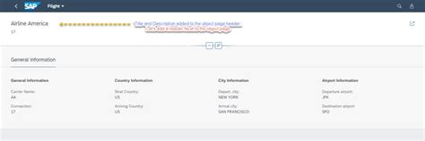 fiori element adding header facet sapcodes