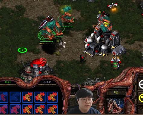 퀸 신기한거 보여줄게 스타크래프트 에펨코리아