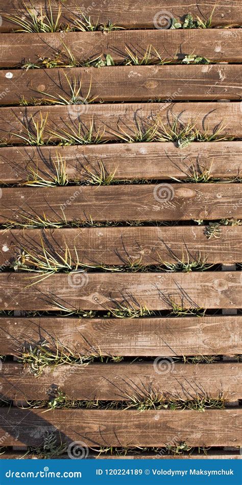 Wooden Bridge On The Green Grass Low Bridges A Path Among The Grass Stock Image Image Of