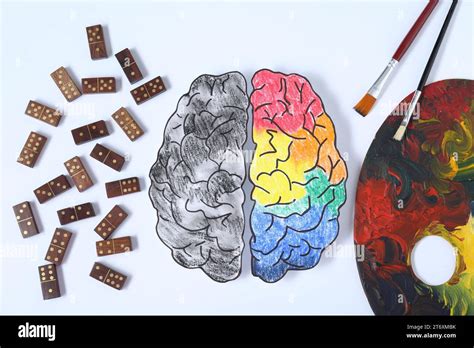 Logic And Creativity Paper Brain With One Colorful Part And Another Grey On White Background