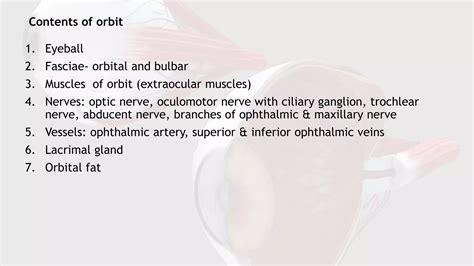 Anatomy Of Orbit Pptx
