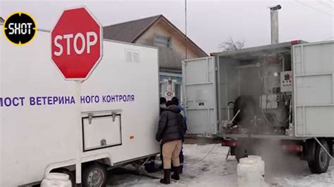 Лайф публикует видео из деревни в Чувашии закрытой на карантин из за сибирской язвы