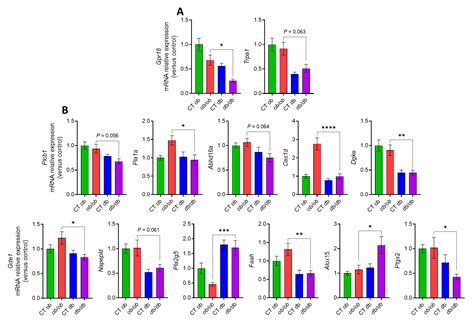 a lipidomics and transcriptomics based analysis of the intestine of genetically obese ob ob