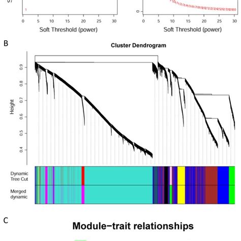 Weighted Gene Co Expression Network Analysis Of Hindlimb Transcriptome