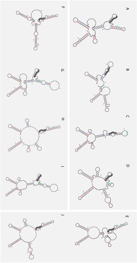 Figure 10 1 From Microfluidic Large Scale Integration And Its Application To Systems Biology