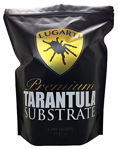 Best Substrate For Curly Hair Tarantula Care Frenchie Buddy