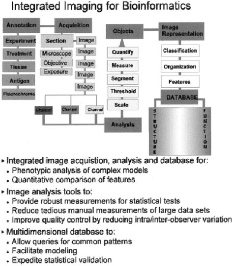 Schematic Of Bioinformatics Framework For Microscopy That Integrates