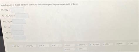 Solved Match Each Of These Acids Or Bases To Their Chegg Com