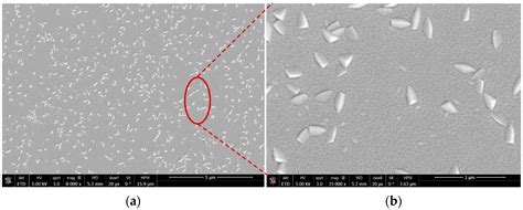 Vertical Etching Of Scandium Aluminum Nitride Thin Films Using Tmah Solution