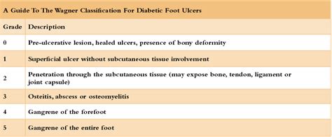 Wagner Classification Of Diabetic Foot Julissatuwall