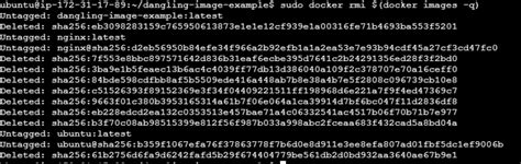 What Is Docker Rm Command Geeksforgeeks