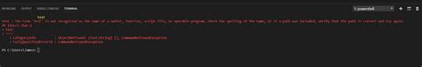 Integrated Terminal Starts Completely Blank Until After Pressing Enter Issue