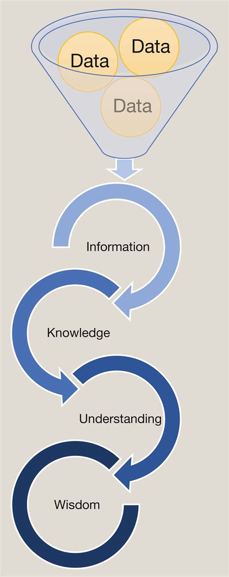 Data Information Knowledge Wisdom And Understanding Anaesthesia
