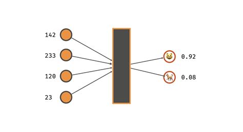 Mobilenet Inputs And Outputs Introduction To Machine Learning With