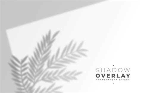 현실적인 나뭇잎 그림자 오버레이 효과 배경 무료 벡터