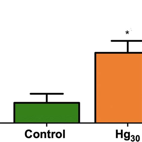 The Plus Maze Discriminative Avoidance Task Test Session Percent Time