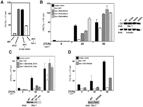 Regulation Of Tcr Signaling Pathway By Sts 1 Download Scientific Diagram