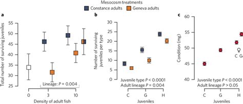 Juvenile Survival And Condition A Total Juvenile Survival Was