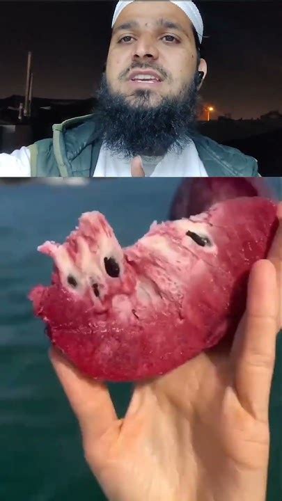 Phalon Ka Raja 😲👏 Virelshorts Trendingreels Reactionvideo Youtube