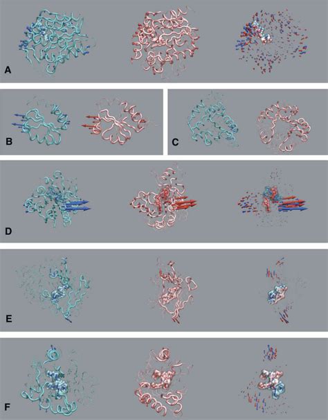 dynamics based alignments structural dynamic properties of selected