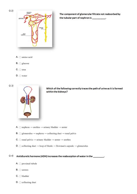 Science Olympiad Class 10 Sample Question Paper 12 Olympiad Tester