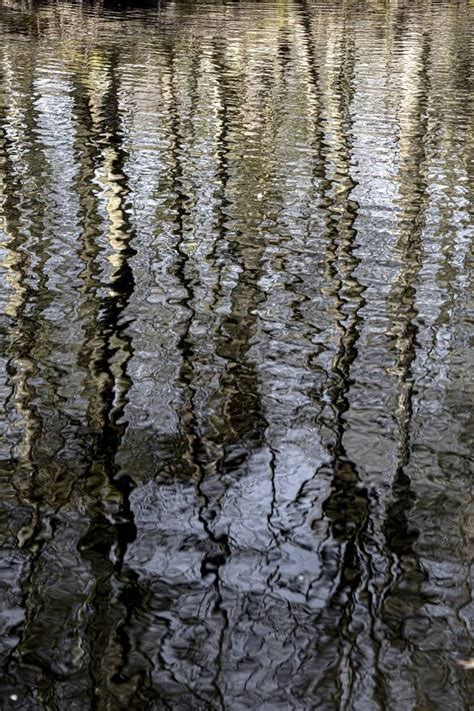 Reflection 12 Photography By Jochen Leisinger Saatchi Art In 2024