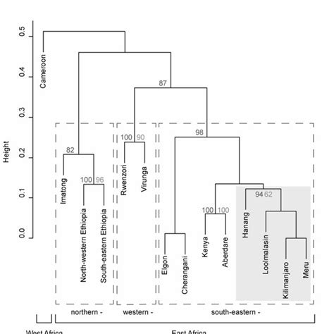 Hierarchical Cluster Dendrogram Calculated With A Bsim Dissimilarity
