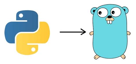 Switching From Python To Golang My Journey Ashish Dhakal