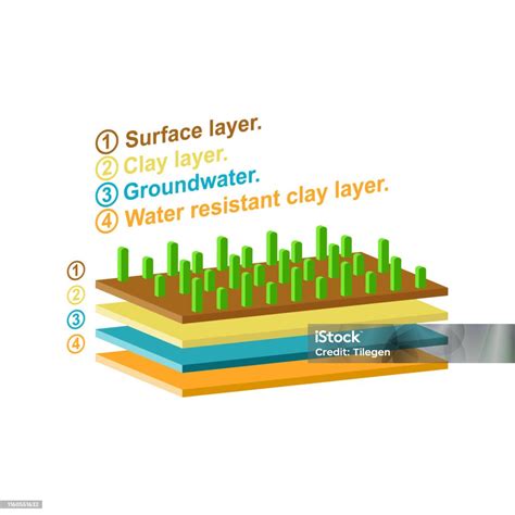 Lapisan Tanah Infografis Dari Lapisan Atas Permukaan Bumi Tampilan Isometrik Dan 3d Ilustrasi